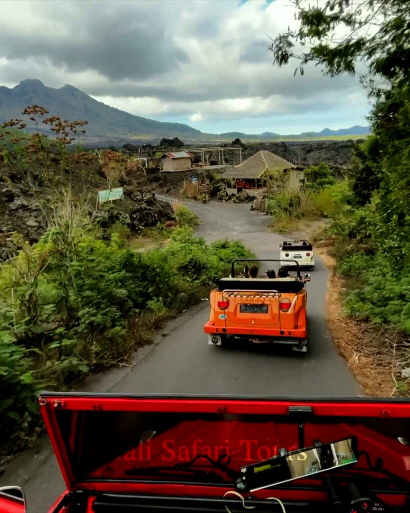 Special Offer ! - Bali Safari Tours